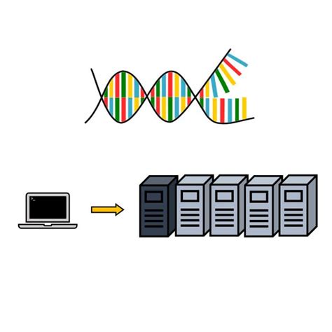 A Peek Into Bioinformatics