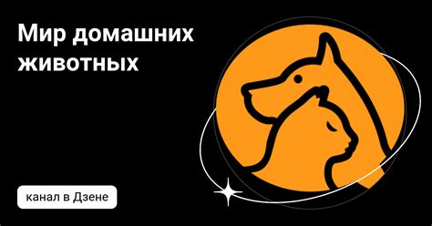 Мир домашних животных Дзен