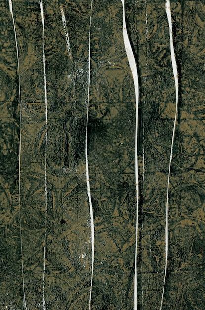 Premium Photo Bark Pattern