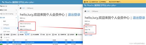 （291）【csrf详解】csrf原理、利用过程、分类、举例、工具 Csdn博客