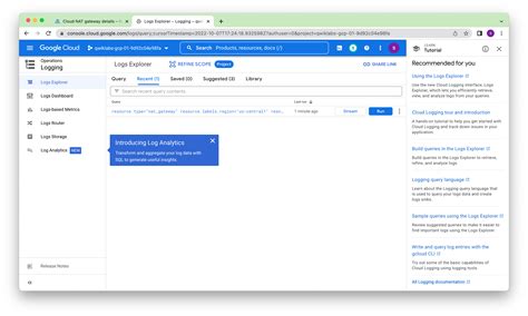 Gcpimplement Private Google Access And Cloud Nat Cloudnetdevops