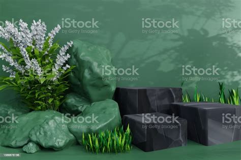 자연 연단 3d 렌더링 전시회 제품 발표 휴식 및 건강을 위한 모형 0명에 대한 스톡 사진 및 기타 이미지 0명 3차원