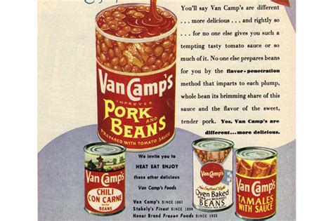 Can Dogs Eat Canned Vegetables