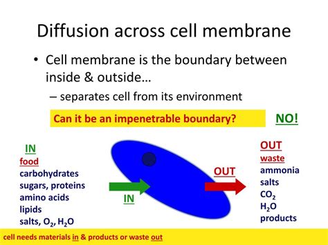Ppt The Cell Membrane Powerpoint Presentation Free Download Id2478934
