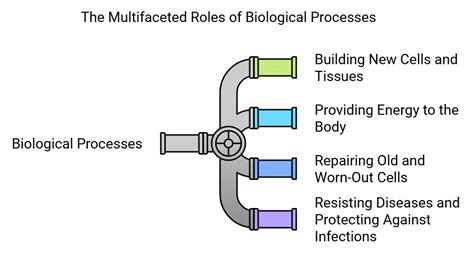 Notes Food Science And Pedagogy Paper 2 For Ctet And Tet Exams Ctet And State Tet Pdf Download