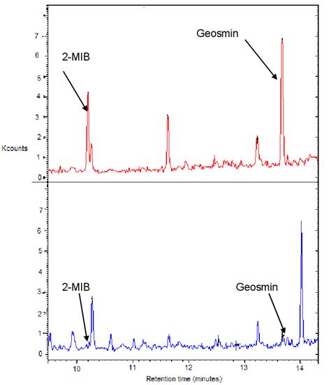 Synthetic Pathway For The Formation Of A Cyclodextrin Polyurethane