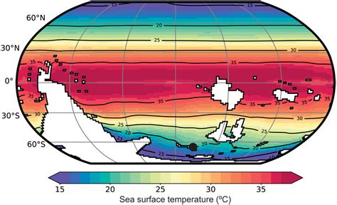 Cambrian Period Environment 11 Year Old Discovers Rare
