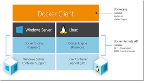 microsoft releases first preview of windows server containers with docker support business news