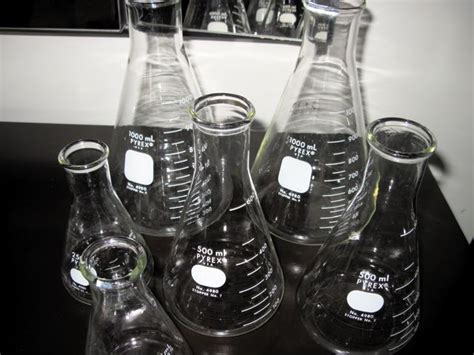 Metro Modern Pyrex Lab Beakers