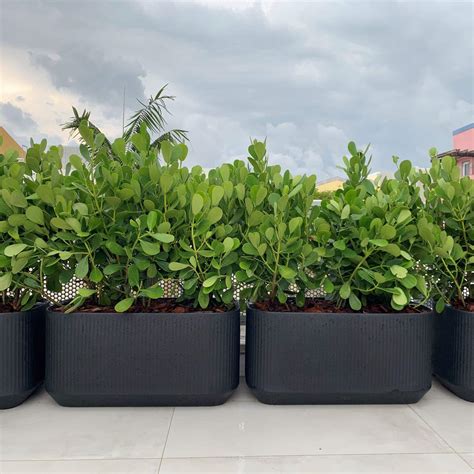 Mod Privacy Planter Set Crescent Garden