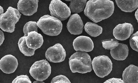 Mcmb Mesocarbon Microbeads Synthetic Graphite Powder 500g Mse