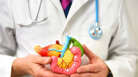 Tumore Al Pancreas La Molecola Che Riesce Ad Ingannarlo Wired Italia