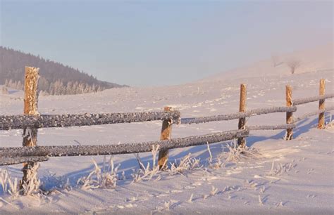 В Мордовии мужчина убил жену во время ссоры отвёз тело в поле и сжёг