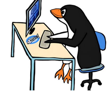 Best Guided Projects Courses And Certificates [2025] Coursera Learn Online