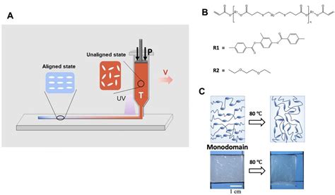 Shape Memory Behaviors Of 3d Printed Liquid Crystal Elastomers