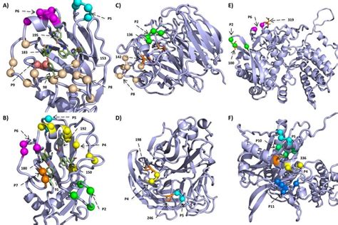 Structural Representation Of Selected Patches Download Scientific