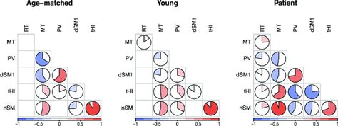 Correlation Matrices Between Reaction Time Rt Movement Time Mt