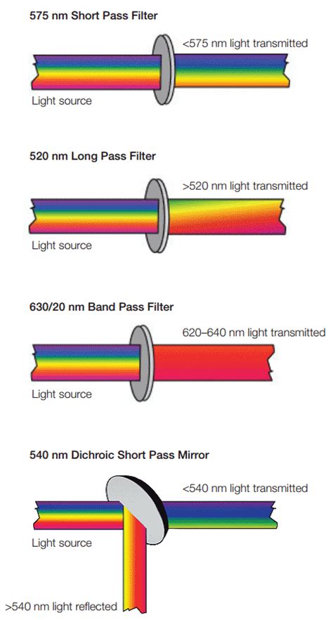 Optics And Detection Flow Cytometry Guide Bio Rad