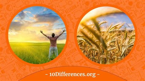 Difference Between Abundance And Prosperity