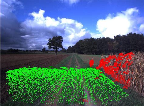 Results Obtained From The Geometry Based Classifier In A Maize Crop Download Scientific