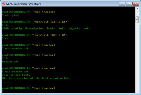 Git本地仓库Repository详解 git 仓库英文 CSDN博客