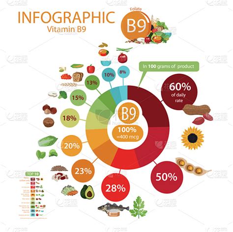 数字9维生素b生物学蔬菜芒果菠菜莴苣软干酪面包维生素