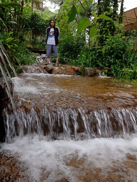 Mommies Daily Camping Keluarga Di Pondok Rasamala Kaki Gunung Bunder