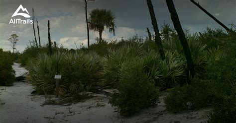 Best Trails In Jonathan Dickinson State Park