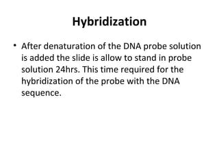 Fluorescence In Situ Hybridization PPT