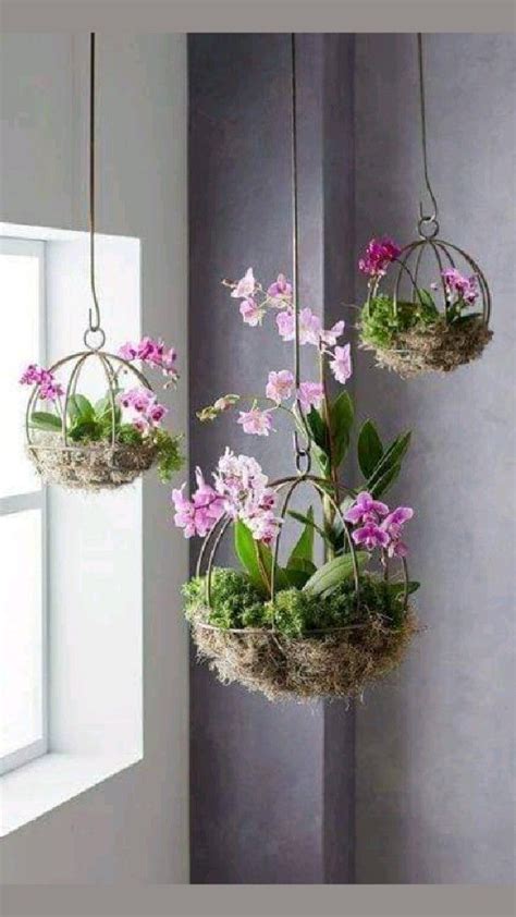 Modern Hanging Glass Planters For Stylish Indoor Plant Decor