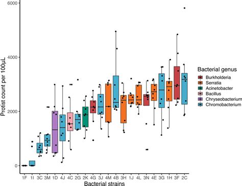 Protist Abundance Depends On The Identity Of Bacterial Strain