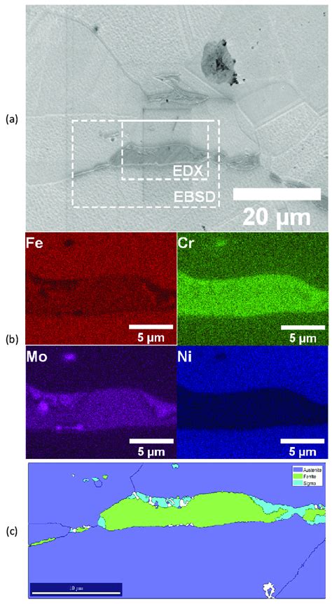 a sem image with indicated the locations of edx chemical maps shown