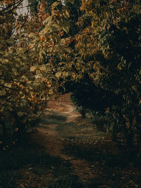 September Fall Wallpaper Photos Download The Best Free September Fall