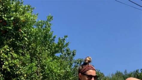 Caitlyn Rose Nude Harofasesi