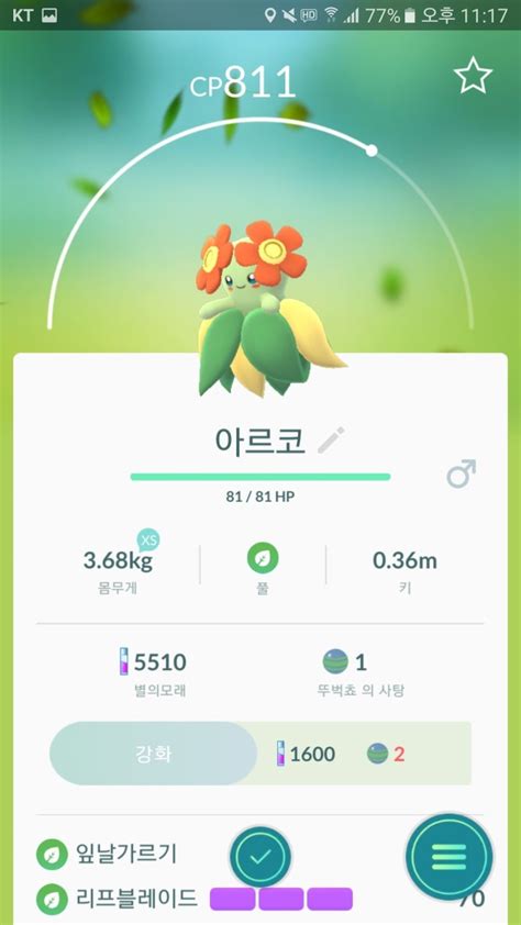포켓몬고 태양의돌 냄새꼬 진화 네이버 블로그