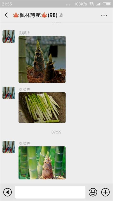 楓林詩苑詩詞集 春筍20190402 每日頭條