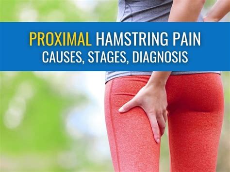 Running With Proximal Hamstring Tendinopathy Tips To Help Recovery