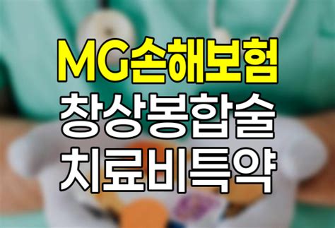 Mg손해보험 창상봉합술치료비 특약 심층 분석 메모리유