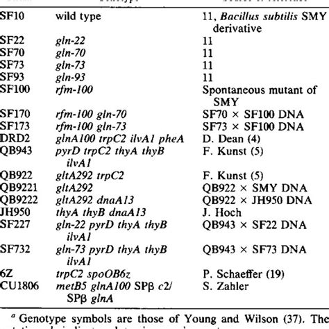 Strains Of Bacillus Subtilis Used Download Table