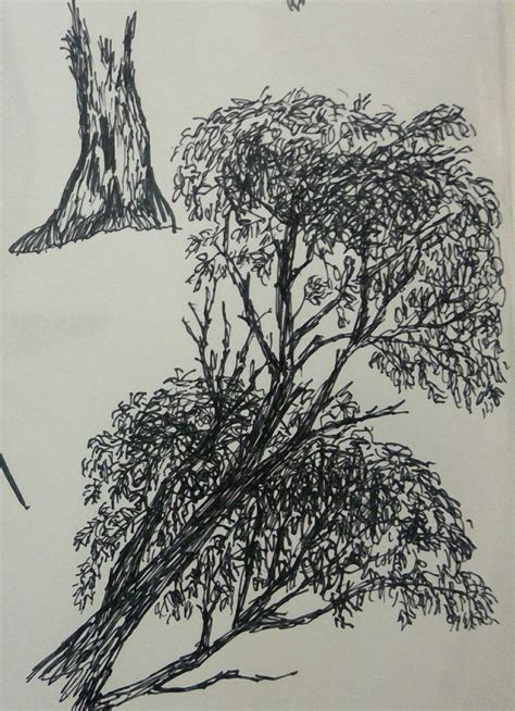 Aussie Bush Drawing