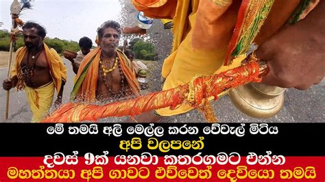 අපි වලපනේ දවස් 9ක් යනවා කතරගමට එන්න මේ තමයි අලි මෙල්ල කරන වේවැල්