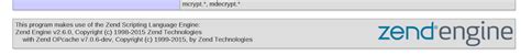 How Can I Debug Performance Problems WPML