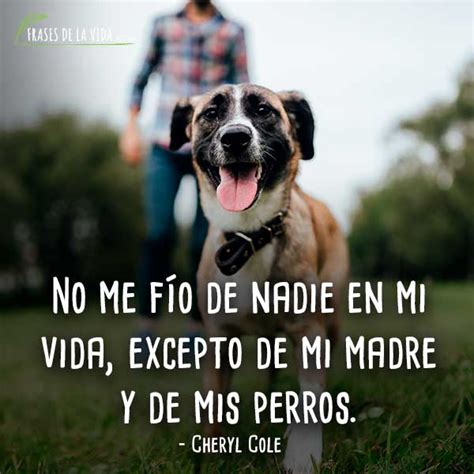 120 Frases de perros los mejores amigos del hombre Con imágenes