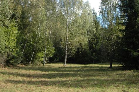 Koszenie dla ochrony Sozosfera ochrona środowiska