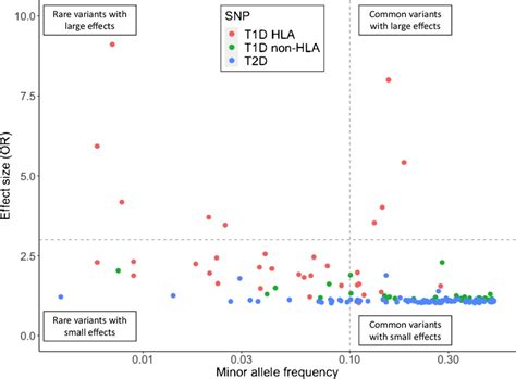 Type 1 Diabetes Genetic Risk Includes Common Hla Variants With Large