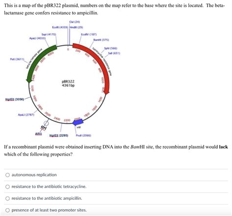 Solved This Is A Map Of The Pbr322 Plasmid Numbers On The