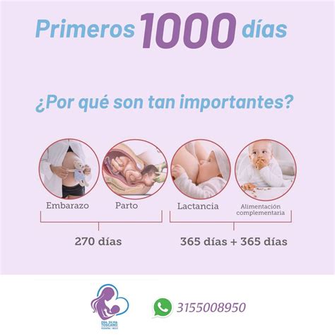 Los Primeros 1000 Días De Vida Silvia Toscano Pediatra