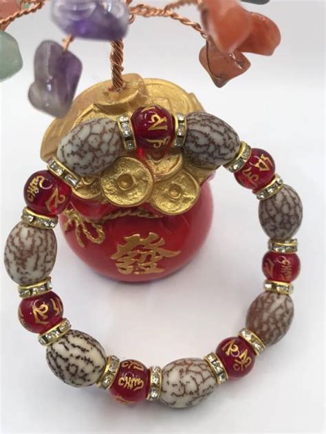Red Mantra Bracelet With Buto Ng Sinukuan With Ritual Bless And Cleanse