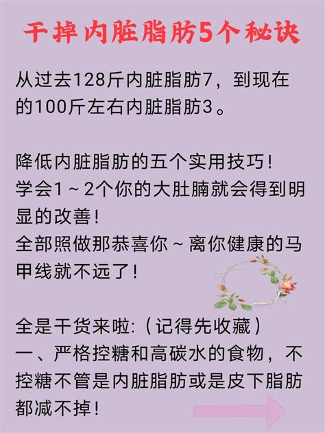 减肥先减内脏脂肪，8个方法快速瘦肚子 哔哩哔哩