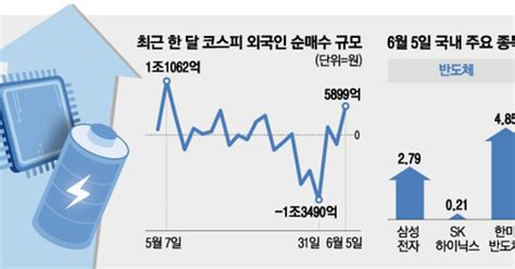 외국인 돌아오자 삼전 뛰고 에코프로 날고개미들 모처럼 함박웃음